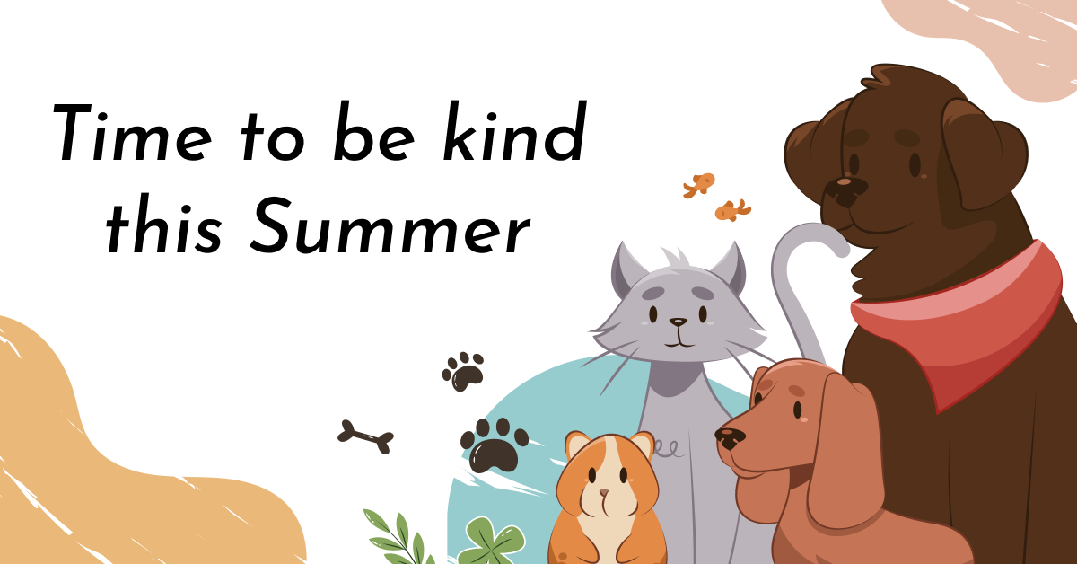 Time to be kind this Summer